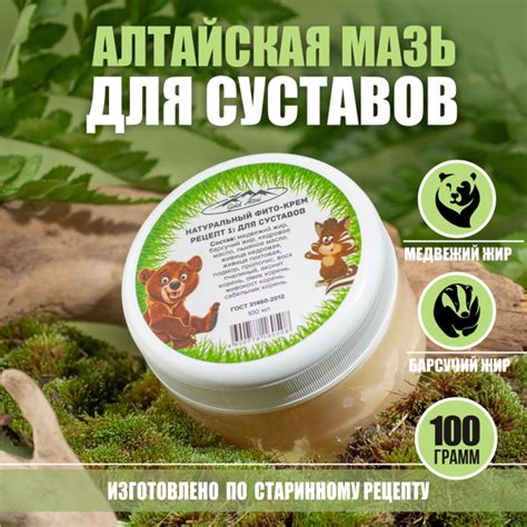 Алтайская мазь для суставов от боли - купить с доставкой по выгодным ...