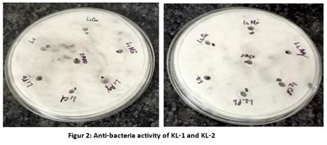 Synthesis Spectral Characterization And Antimicrobial Activity Of Two