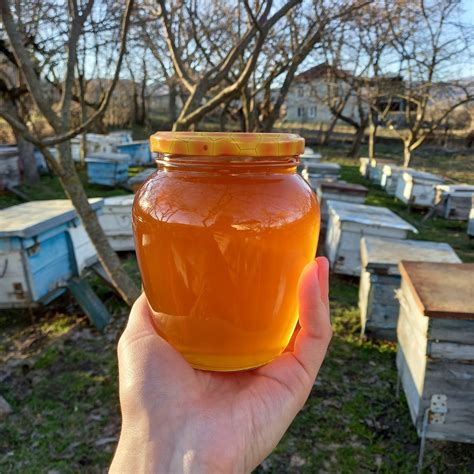 თაფლის მთა Honey Mount