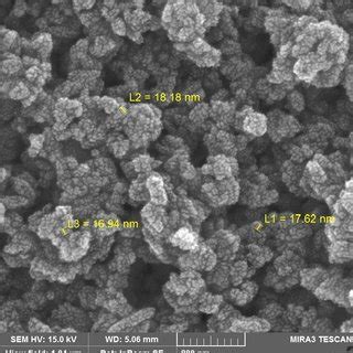 EDX Spectrum Of Co Doped TiO Nanoparticles Download Scientific Diagram