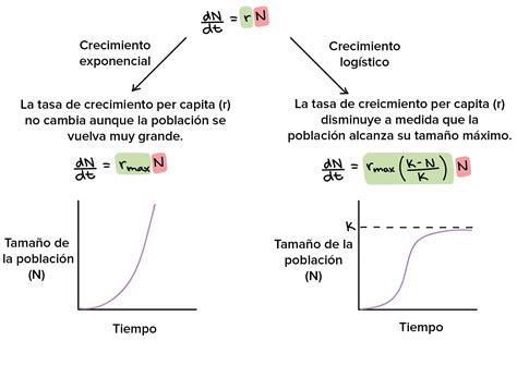 Tasas De Crecimiento