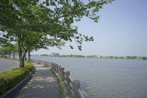 伊佐沼 ISA POND 日本湖沼めぐり