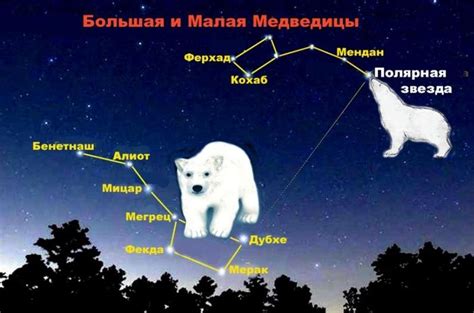 Созвездие Большой и Малой Медведицы в рисунках для школы
