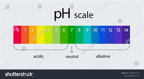 Ph Scale Indicator Chart Acidic Alkaline เวกเตอร์สต็อก ปลอดค่า