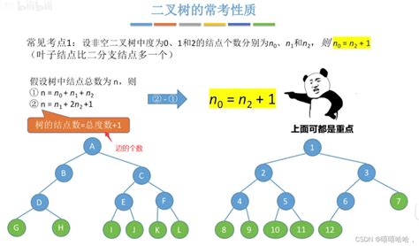 522 二叉树的性质 Csdn博客