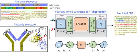 Figure From Reprogramming Large Pretrained Language Models For Antibody Sequence Infilling
