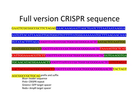 Ppt Crispr Powerpoint Presentation Free Download Id3435395 Ppt Crispr Powerpoint Presentation Free Download Id3435395