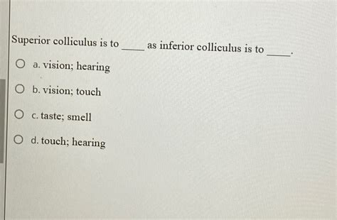 Solved Superior Colliculus Is To Q ﻿as Inferior Colliculus