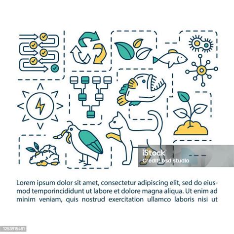 텍스트가 있는 식품 체인 개념 아이콘입니다 생산자 유기체 기본 이차 및 고등 소비자 Ppt 페이지 벡터 템플릿입니다 브로셔 잡지 선형 일러스트가 있는 소책자 디자인 요소