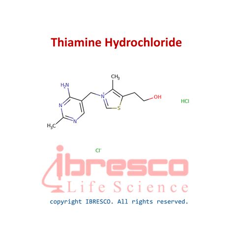 What Is The Difference Between Thiamine And Thiamine Hydrochloride At Gabrielle Sutherland Blog