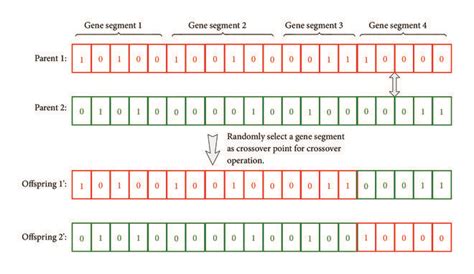 Single Point Crossover Operation Download Scientific Diagram