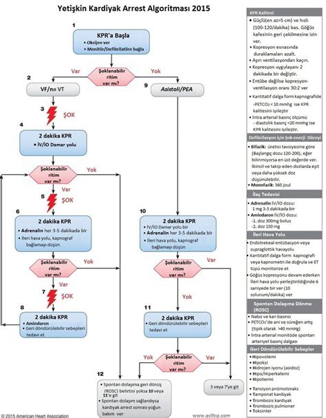 Yetişkin Kardiyak Arrest Algoritması AHA Acls algorithm Advanced cardiac life support Acls