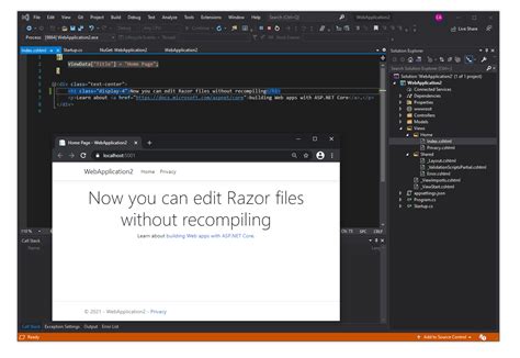 Adding Razor Cshtml View Runtime Re Compilation To A Aspnet Core 50 App After Creating It