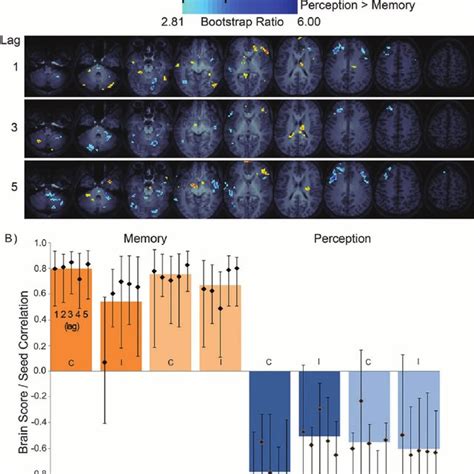 A Pattern Of Common Functional Connectivity Revealed With The