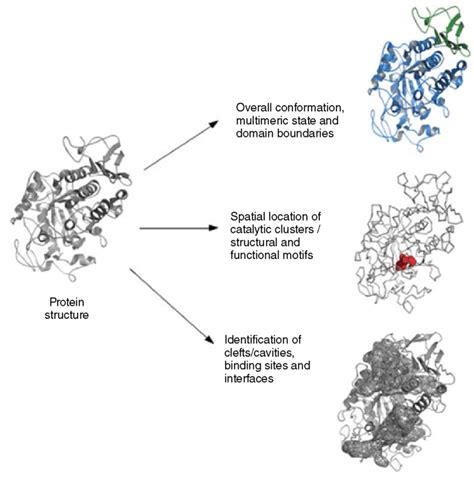 以ai之光，照亮蛋白质宇宙的 “暗物质” Westlake Omics ｜ 西湖欧米（杭州）生物科技有限公司