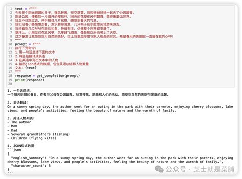 python实战：不会写提示词，别怪ai答非所问！提示词prompt最强指南来了！纯干货分享！ 写prompt csdn博客