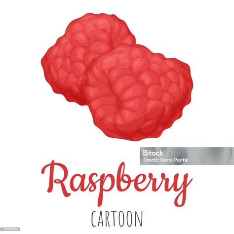 라즈베리 과일 고립 된 클로즈업 일러스트 만화 다채로운 클립 아트 건강한 생활방식에 대한 스톡 벡터 아트 및 기타 이미지 건강한 생활방식 건강한 식생활 과일 Istock