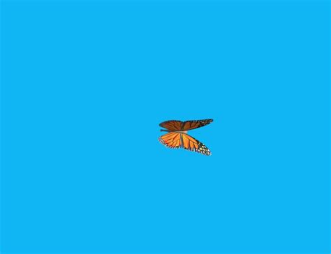 Manasa D Anand On Linkedin Testing Not