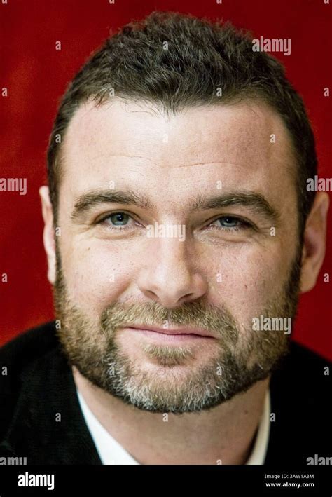 December 7 2008 Los Angeles California Usa Actor Liev Schreiber