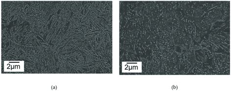 SEM Micrographs Of The Tempered Microstructure Of 50CrMo4 Austenitized Download Scientific