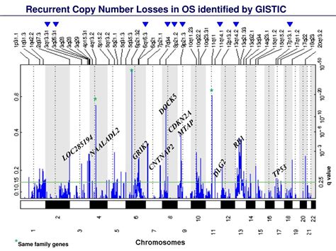 PPT COMPREHENSIVE ANALYSIS OF DNA COPY NUMBER VARIATIONS PowerPoint Presentation ID