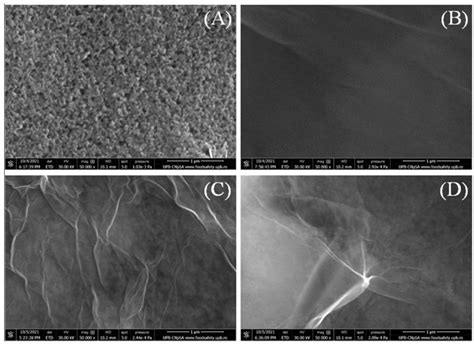 Graphene Electrochemistry Spectroscopy Dna Biosensor Electrodes Abstract Biosensors Mdpi