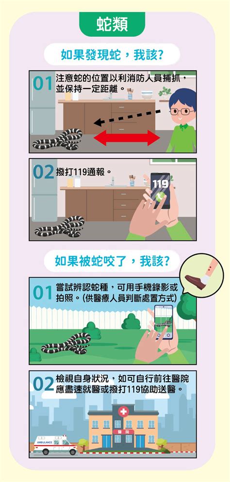 南投縣政府 發現有蛇😱~~有蜂窩😱~~怎麼辦😱😱😱 別驚慌🙏 🚨請通報119專線