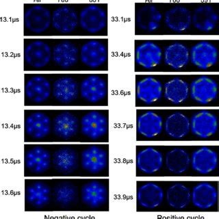 Emission Patterns In A Single Mesh Element During The Positive Download Scientific Diagram