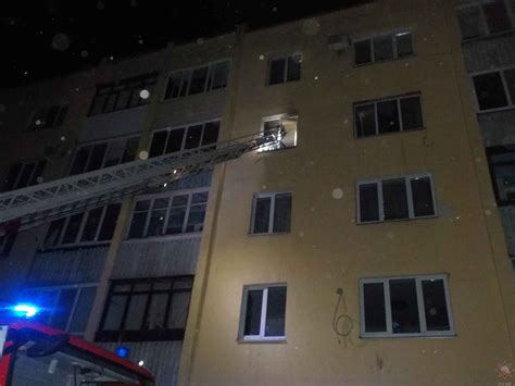 На пожаре в Бобруйске погиб мужчина Бобруйск Сообщения УВД ГАИ МЧС таможня