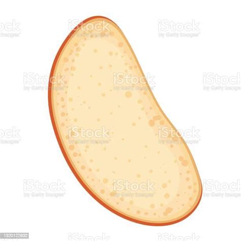 브루스케타 여름 흰 빵 샌드위치 건강한 아침 식사 흰색 배경에서 격리된 벡터 그림입니다 갈색에 대한 스톡 벡터 아트 및 기타 이미지 Istock