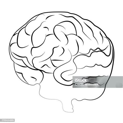 흑인과 백인의 인간 측면 뇌 뇌의 구조 일러스트 레이 션 벡터 Mental Wellbeing에 대한 스톡 벡터 아트 및 기타 이미지 Mental Wellbeing