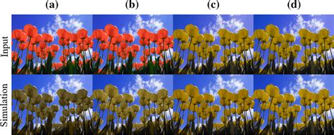 Naturalness Preservation A Protanopia B Deuteranopia C