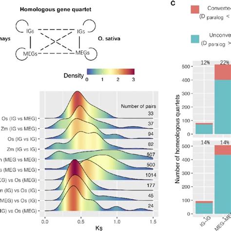 Wgd Derived Homologous Gene Quartets A Relationships Among The Download Scientific Diagram