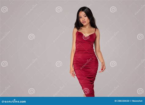 Fashionable Elegant Asian Beauty Woman With Long Hair And Delicate Make