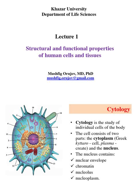 Lecture 1 Life Science Cells And Tissues Pdf