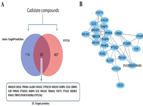 A Overlapping 25 Target Proteins Identified By Stitch And Swiss Download Scientific Diagram