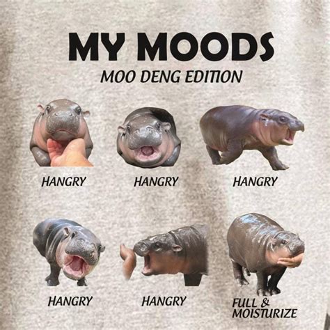 Moo Deng Merch Etsy