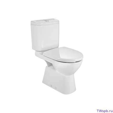 Специальный унитаз с вертикальным выпуском, Roca Access 342237000 — T-WAY