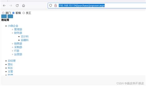 Web攻防 Net特性常见漏洞 Csdn博客