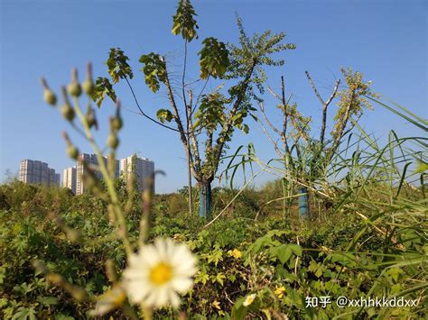 自驾秋季用车常识 知乎