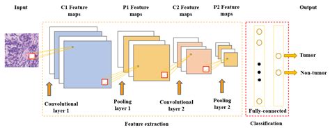 Computation Free Full Text Survey Of Recent Deep Neural Networks