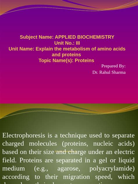 Principle Of Electrophoresis Normal And Abnormal Electrophoretic