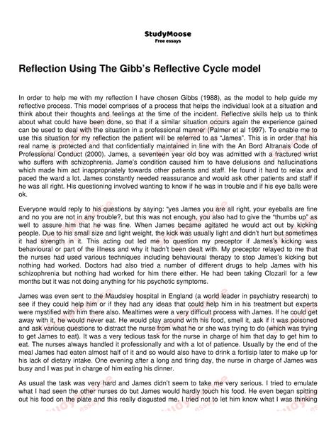 Reflection Using The Gibbs Reflective Cycle Model This Model Comprises Of A Process That