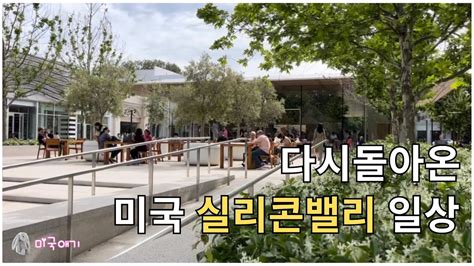 🇺🇸 미국일상vlog 다시 돌아온 미국 실리콘밸리 일상 Youtube