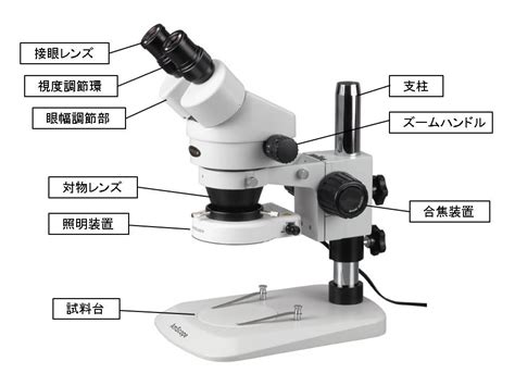 実体顕微鏡の各部の説明 顕微鏡販売顕微鏡専門店誠報堂科学館