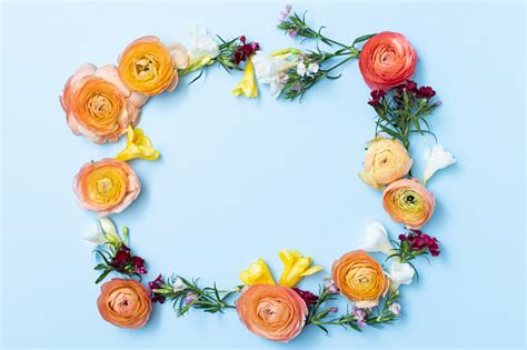 파란색 배경에 장식 디자인을위한 꽃 플랫이 놓여 있습니다 최소한의 낭만적 인 힙스터 개념 야생화가있는 여름 모형 배경 플랫 레이에 대한 스톡 사진 및 기타 이미지 Istock