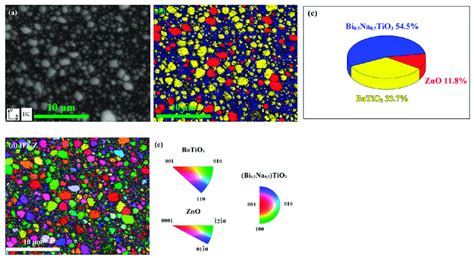 A Surface Morphology Of Ebsd Scanning Region In The Component X