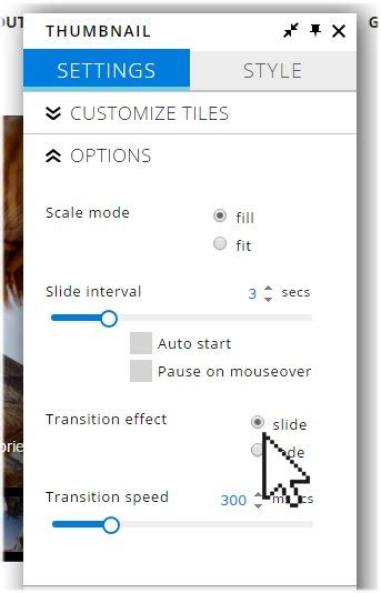 Customizing Thumbnail Gallery Slide Transition Effect