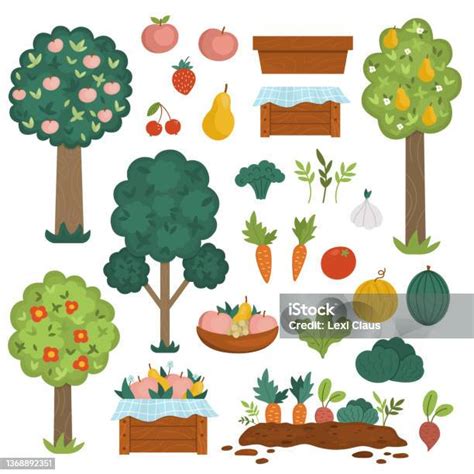벡터 정원 과일 나무와 수확 수집 야채와 과일 아이콘 세트 수확나무 상자 식물 열매 채소가있는 농장 국가 팩 사과 당근 토마토 일러스트레이션 농장에 대한 스톡 벡터 아트 및