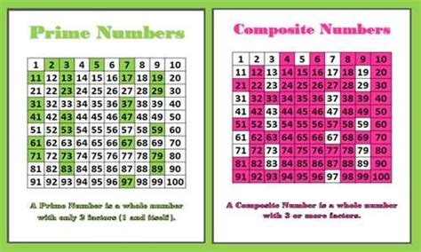 Prime And Composite Numbers Assignment Point